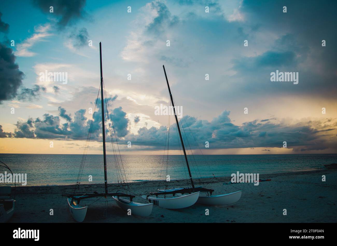 Ocean cay marine reserve bahamas hi-res stock photography and images ...