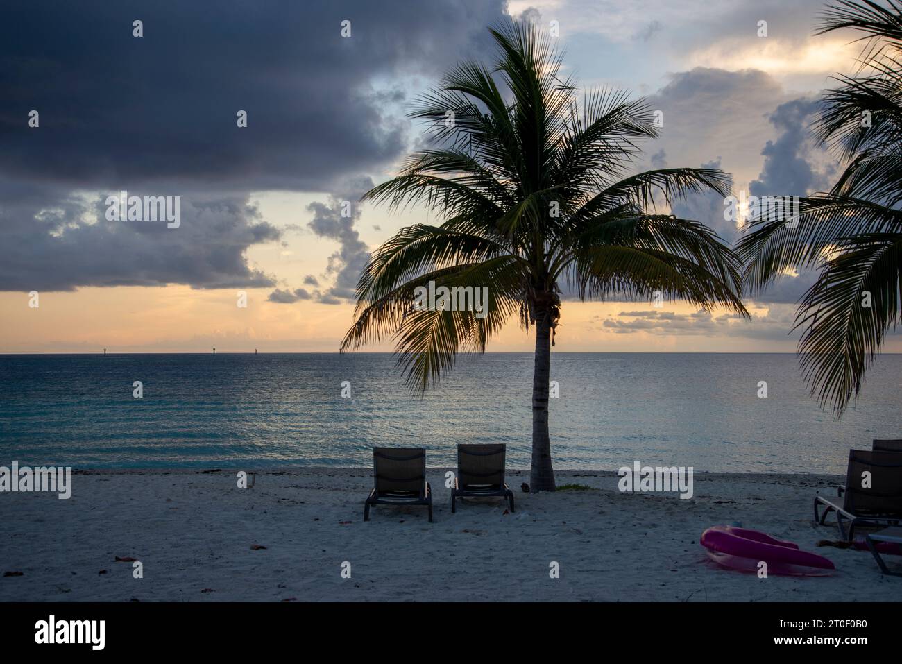 Beautiful beach scenery in Ocean Cay --MSC Marine reserve the Bahamas ...