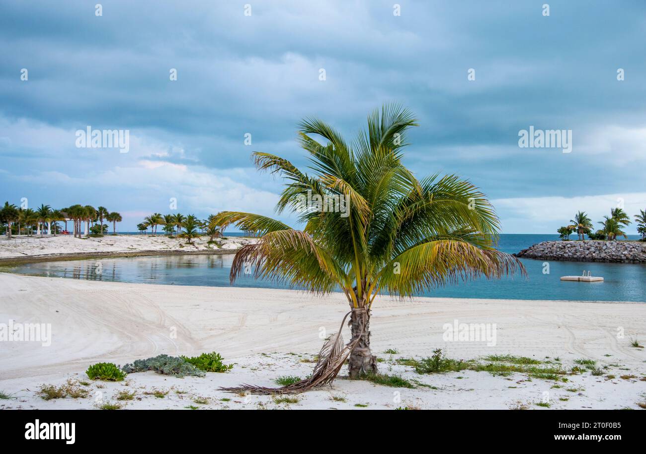 Beautiful beach scenery in Ocean Cay --MSC Marine reserve the Bahamas ...