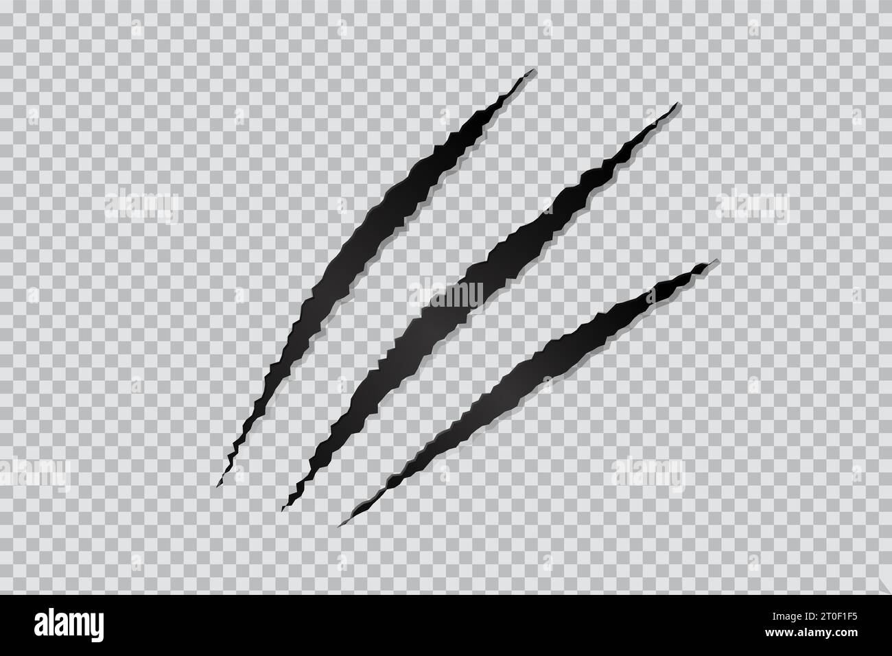 Three cat scratches on transparent background. Stock vector ...