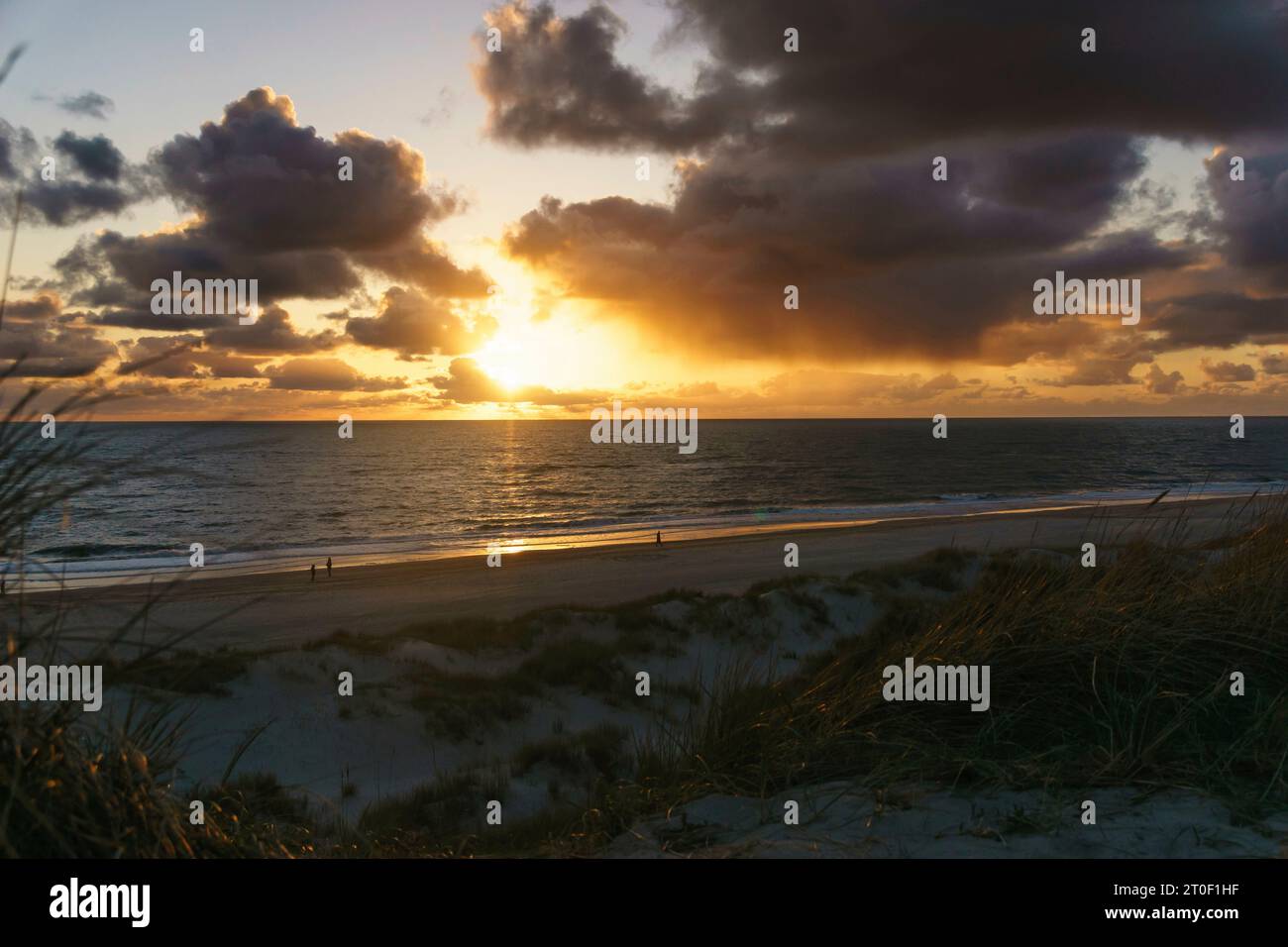 Powerful yellow sunset with dark clouds on the beach of Hvide Sande in ...