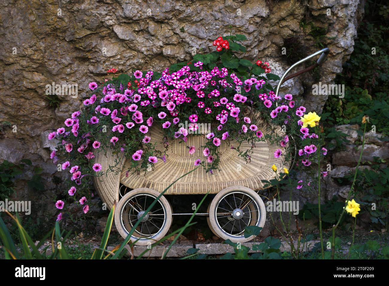 Baby stroller with beautiful petunia flowers Stock Photo - Alamy