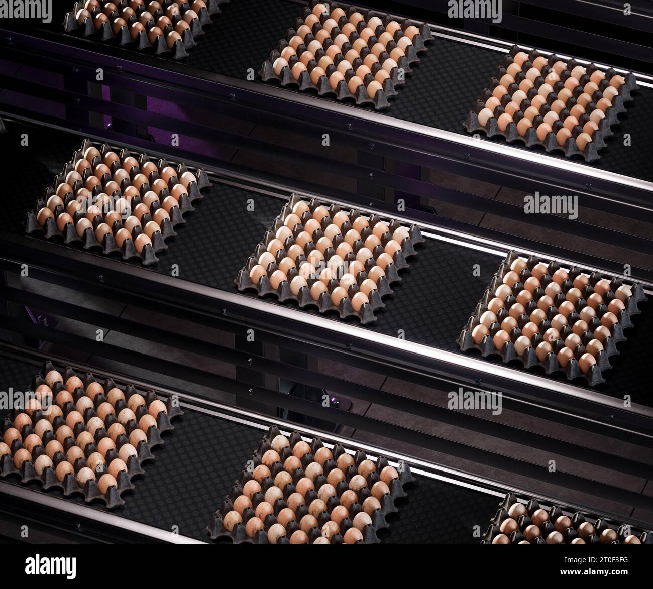 Top view of production line filled with eggs. Egg boxes fully filled on ...