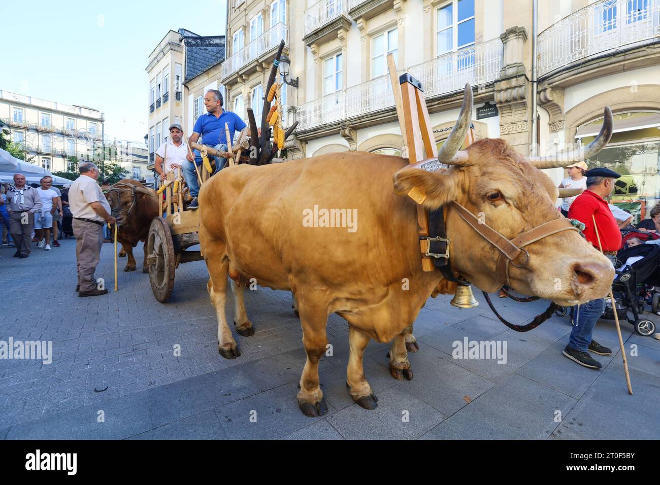 October 6, 2023: Lugo, Galicia, Spain. As part of the Saint Froilan ...