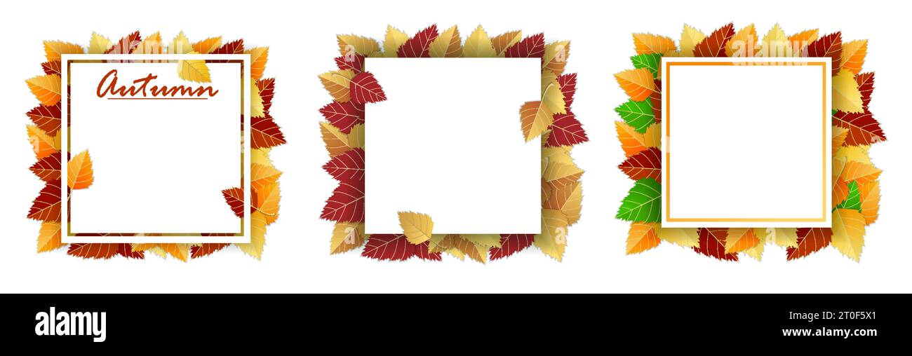 Autumn layout on white Stock Vector Images - Alamy
