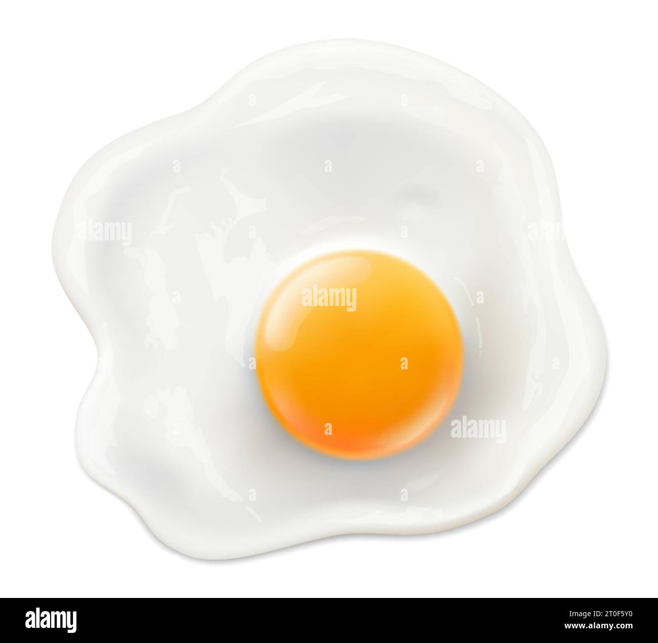 Tasty fried chicken egg isolated on white background. Classic protein rich breakfast. top view ...
