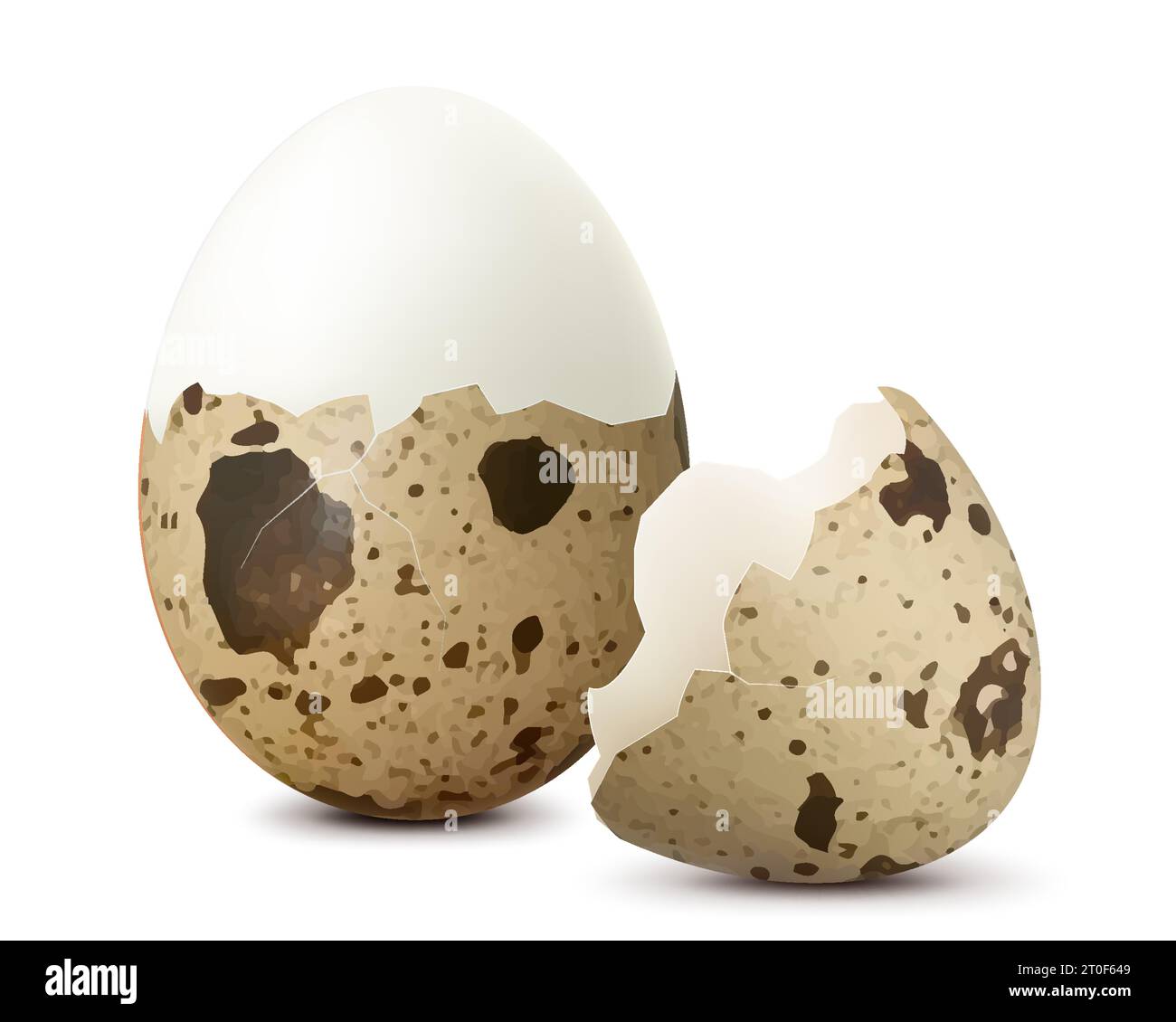 Hard boiled fresh quail egg, isolated on white background. Half-peeled ...