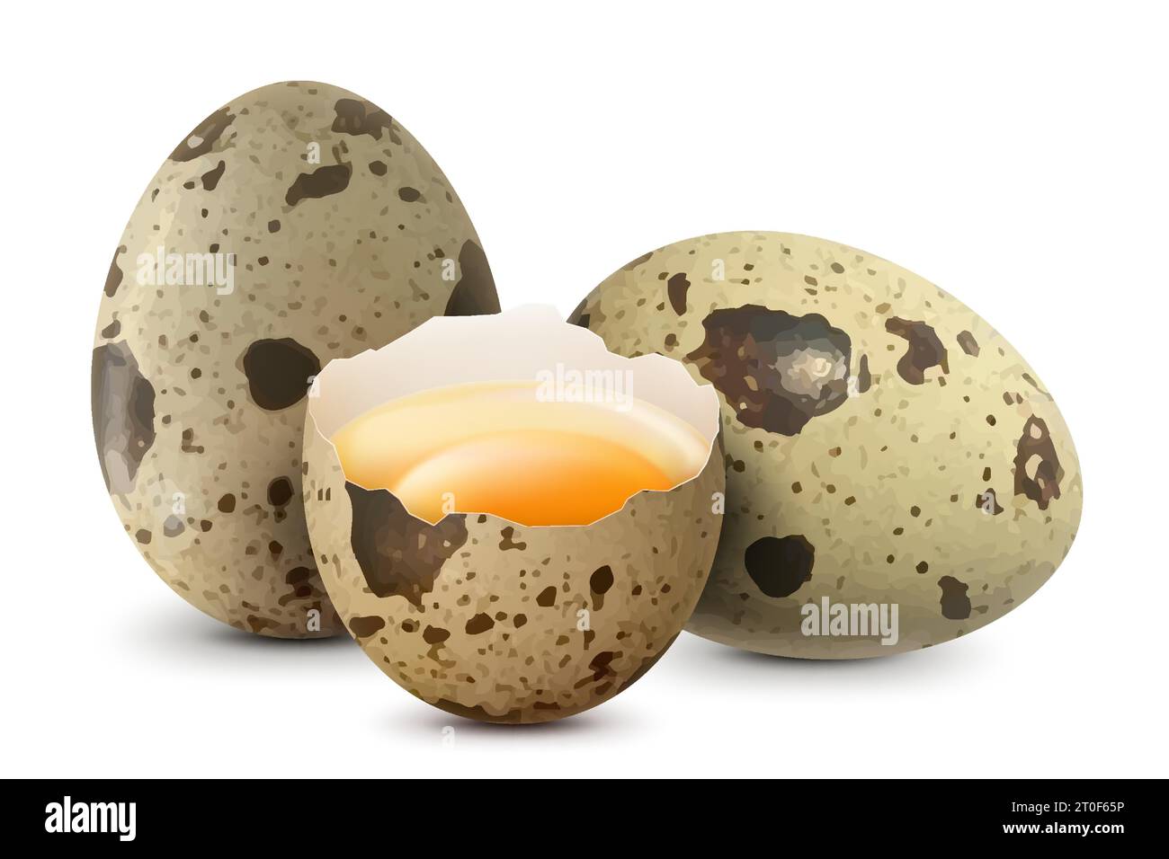 Spotted quail eggs whole and half broken egg with a yolk isolated on a white background. White ...