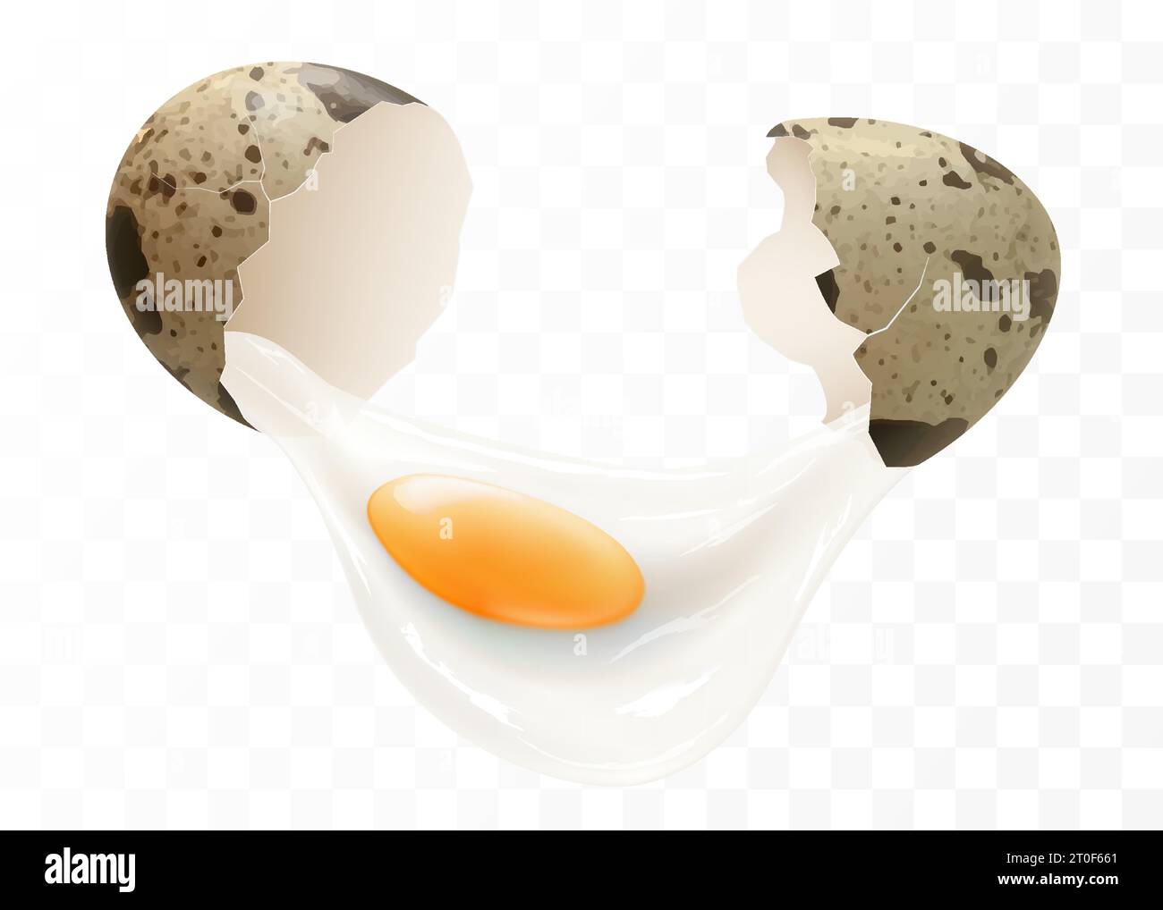 A broken spotted quail egg isolated on a transparent background. The ...