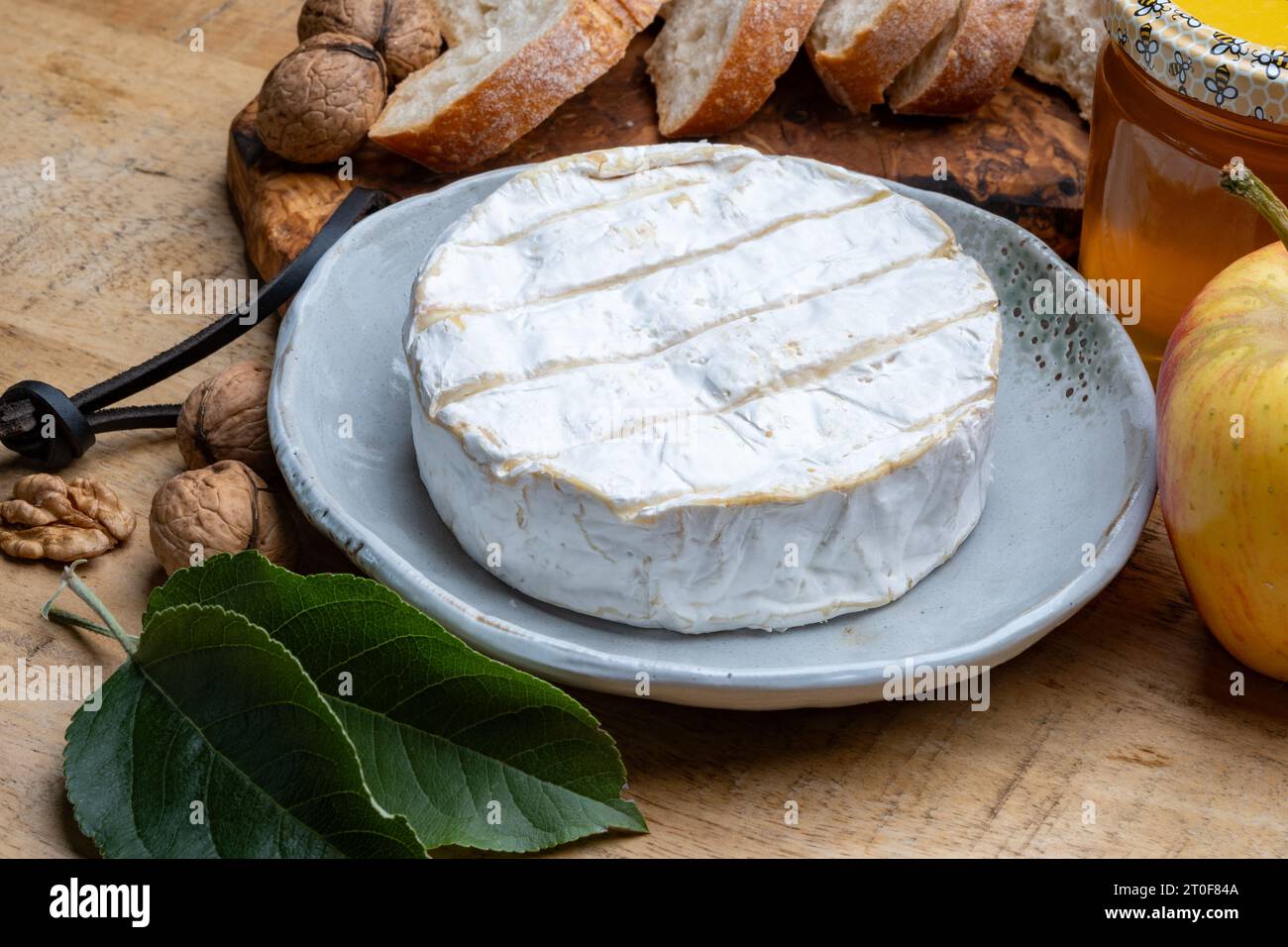 French soft Camembert cheese, original Camembert de Normandie, close up ...
