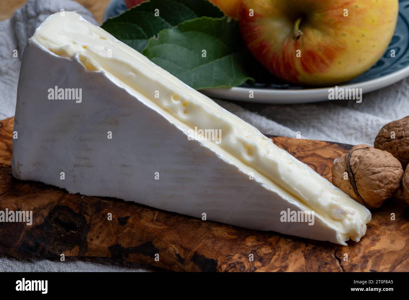 Piece of french soft-ripened white mold cow milk cheese brie produced ...