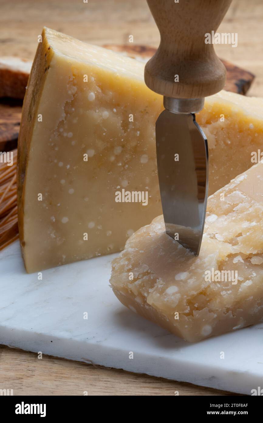 Cheese collection, hard matured yellow Italian cheese parmesan or ...