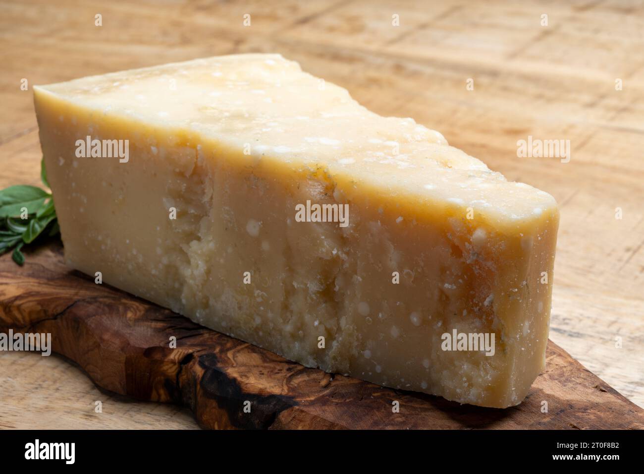 Cheese collection, hard matured yellow Italian cheese parmesan or ...