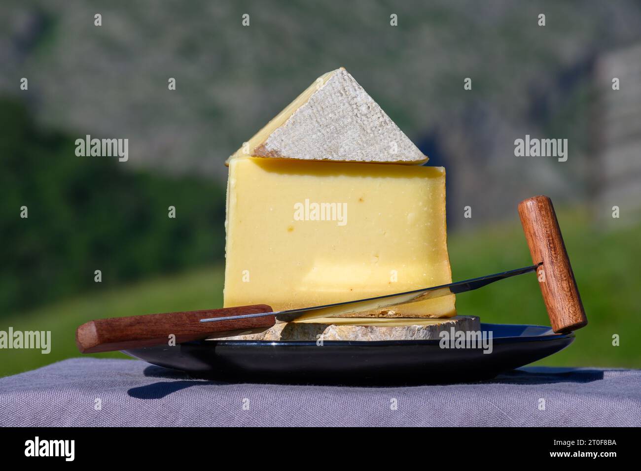 Cheese collection, French cow cheese comte, beaufort, abondance and ...