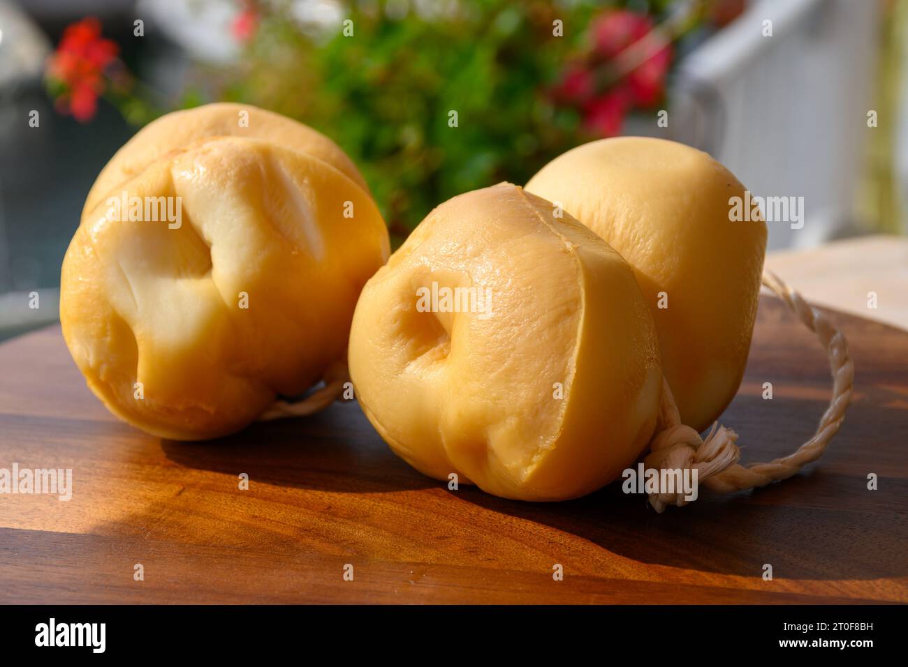 Italian semi hard handmade smoked scamorza cheese, from cow milk from ...
