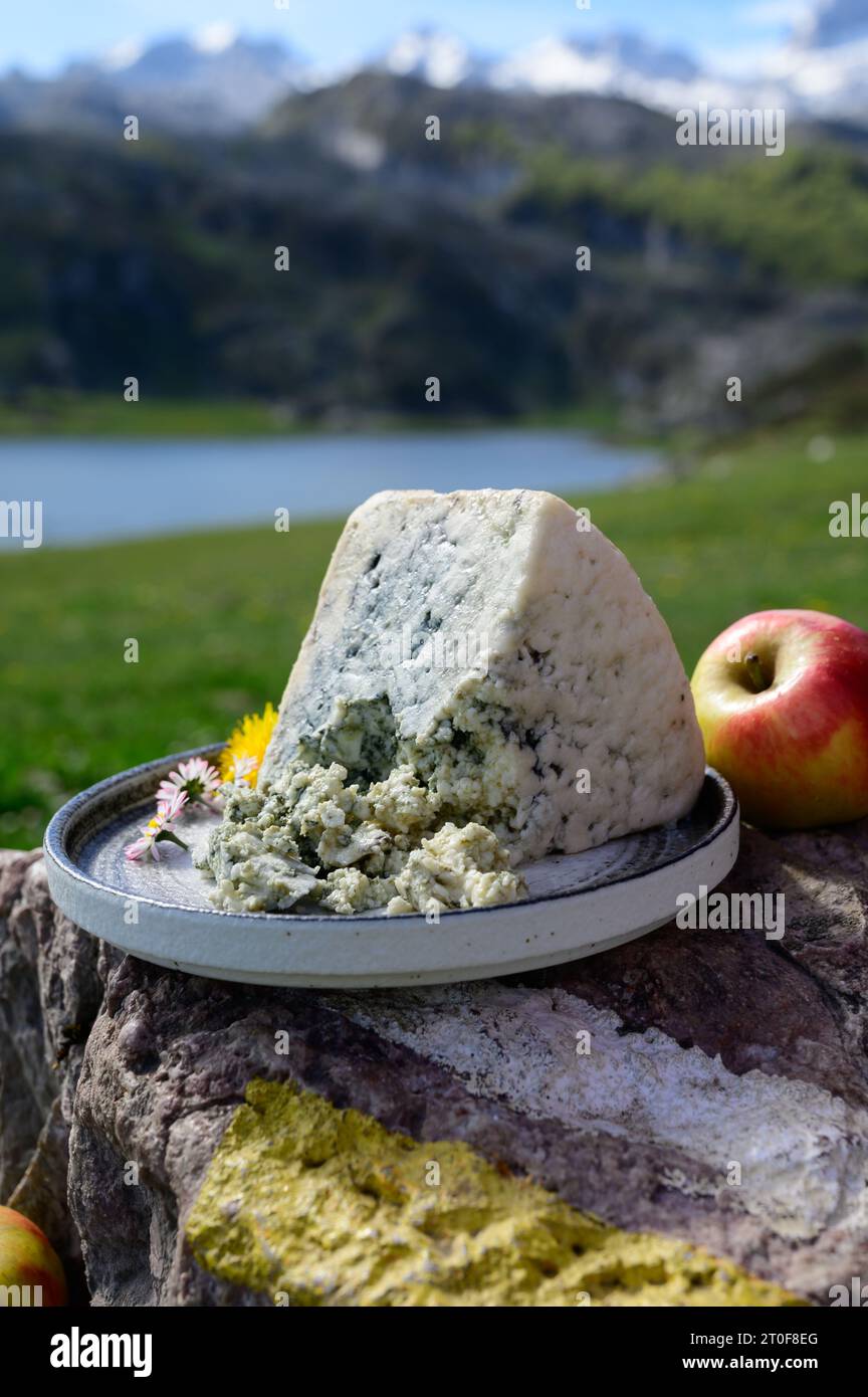 Cabrales, artisan blue cheese made by rural dairy farmers in Asturias ...