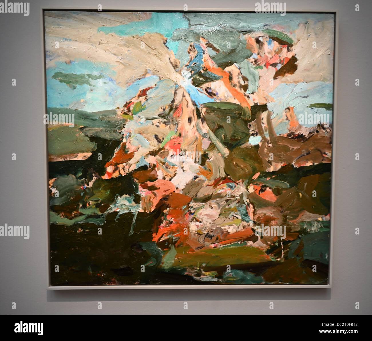 THE EMILY FISHER LANDAU COLLECTION AN ERA DEFINED . DEFINITIVE ...