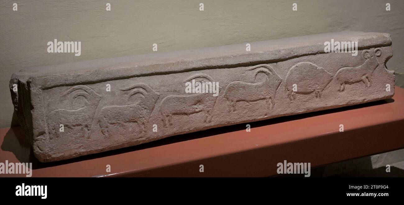 Neolithic Period. Temple Period (3600 to 2500 BC). Tarxien Temple ...