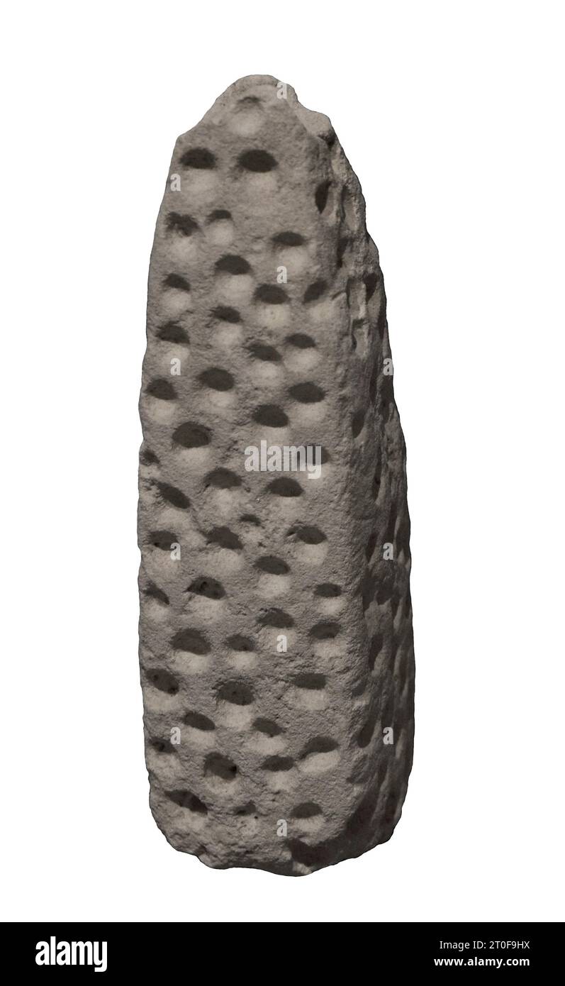 Neolithic Period. Temple Period (3600 to 2500 BC). Tarxien Temple ...