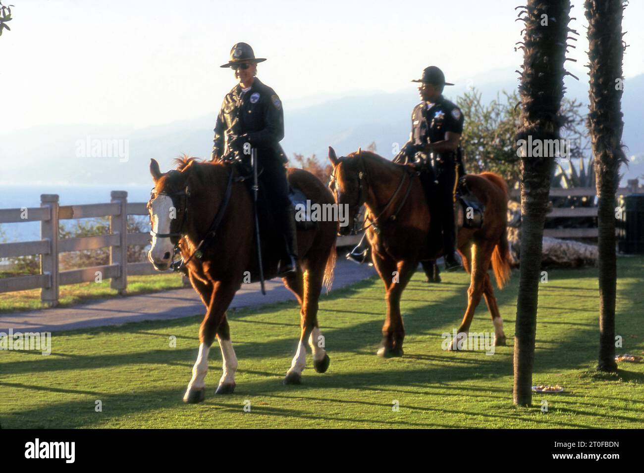 Park police horses hi-res stock photography and images - Alamy