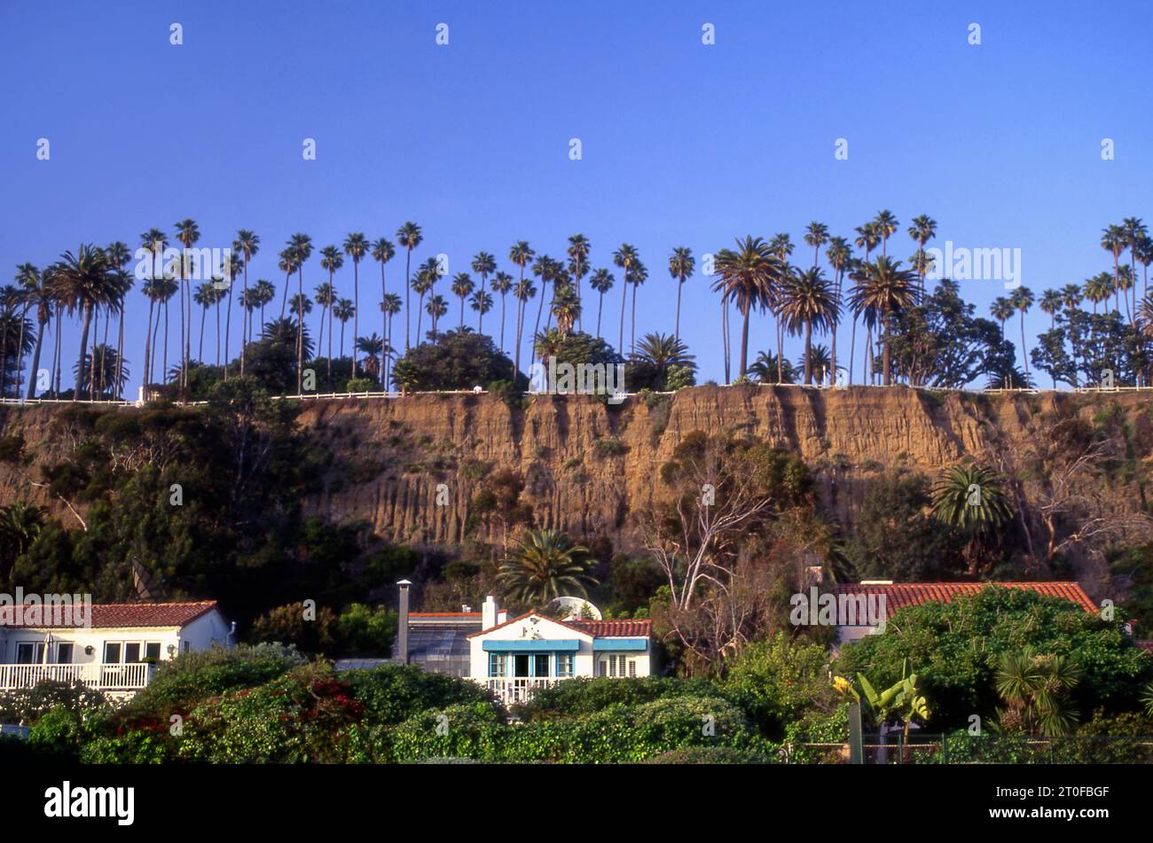 Beach homes seen below the rocky cliffs and rows of palm trees at ...