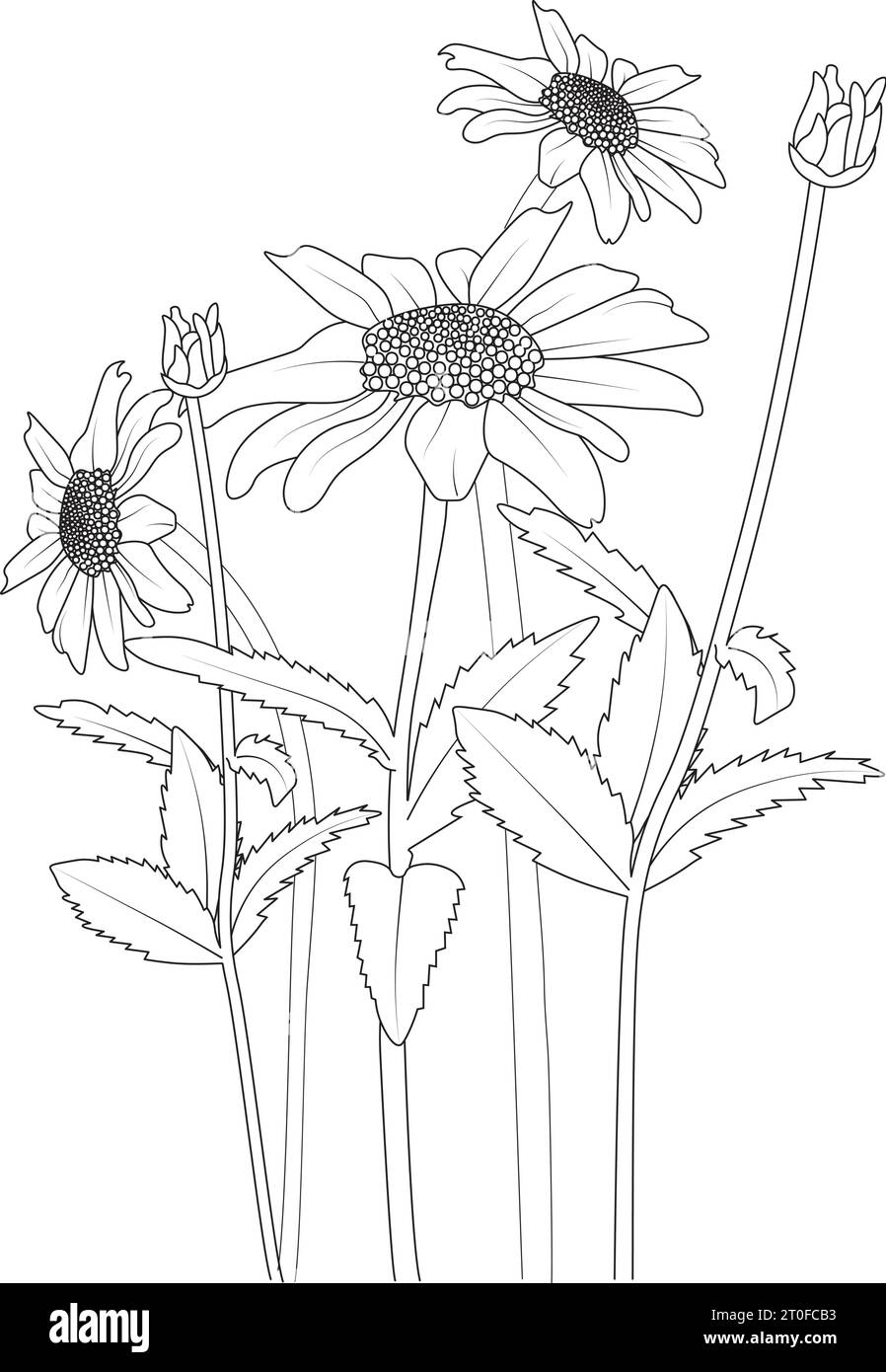 Gerbera Daisy Flower Tattoos