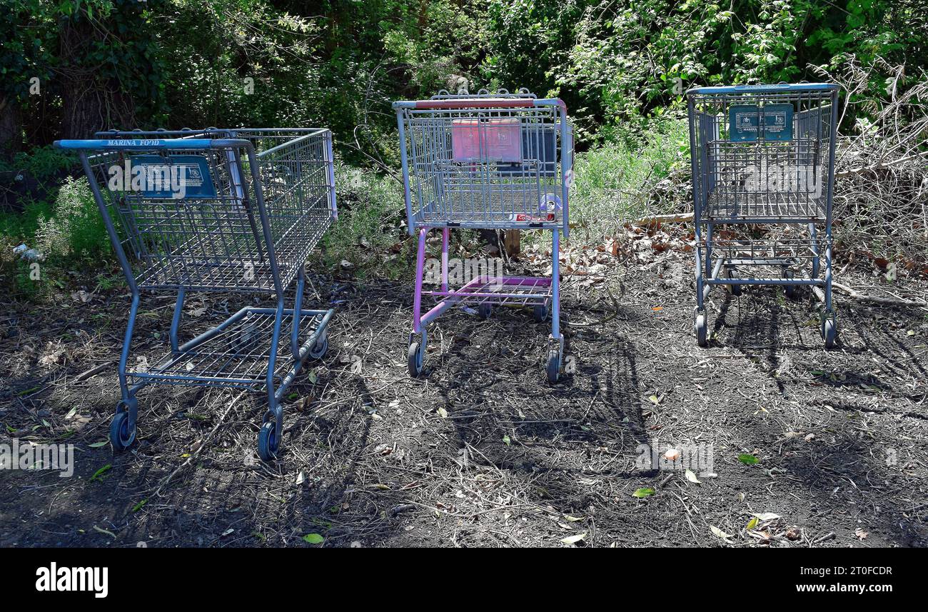 shopping carts in a public park in Union City, California Stock Photo ...
