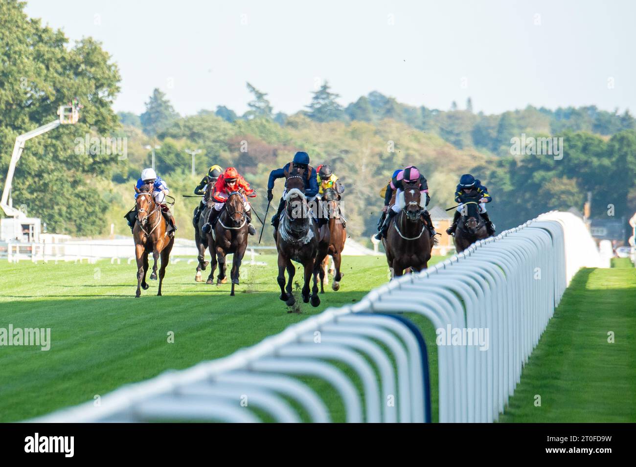 Thoroughbred horse owner hi-res stock photography and images - Alamy