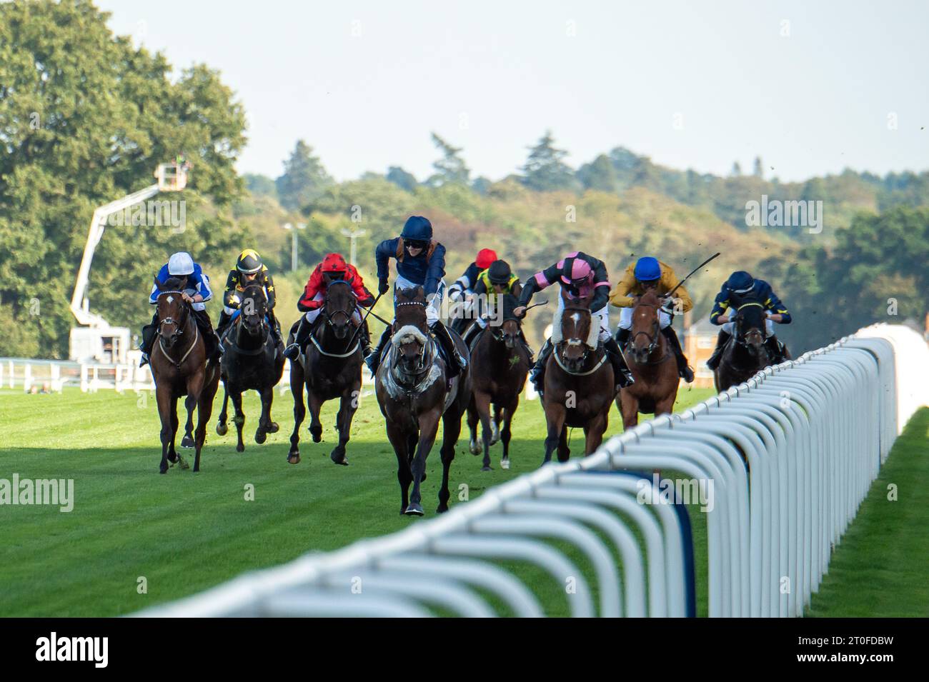 Amateur flat jockey hi-res stock photography and images - Alamy