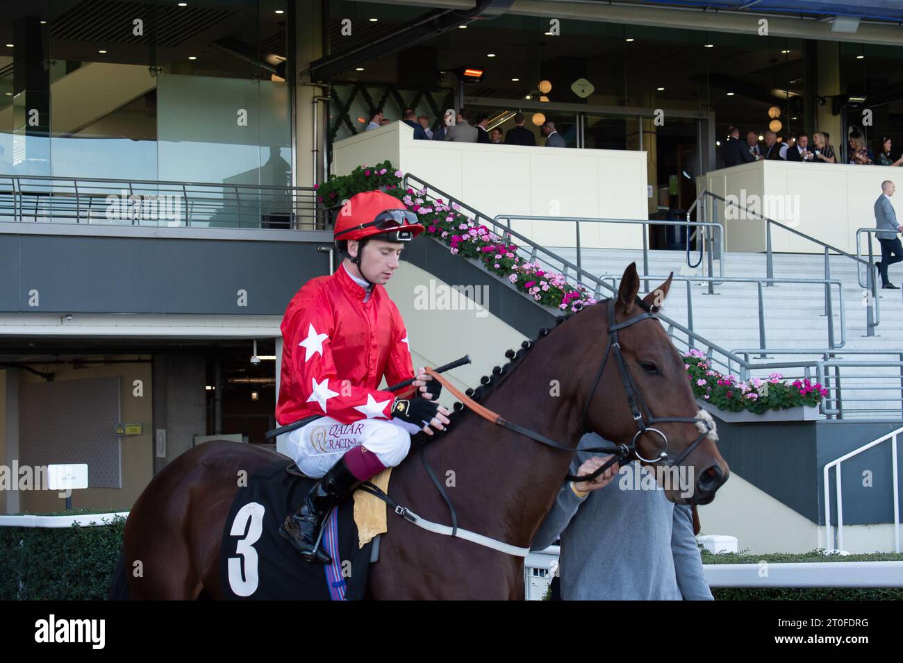 Sir alex ferguson horse hi-res stock photography and images - Alamy