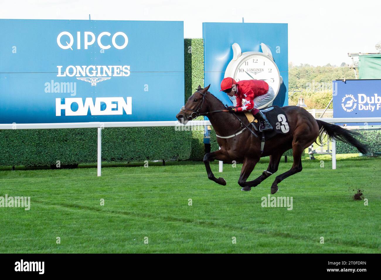 Sir alex ferguson horse hi-res stock photography and images - Alamy
