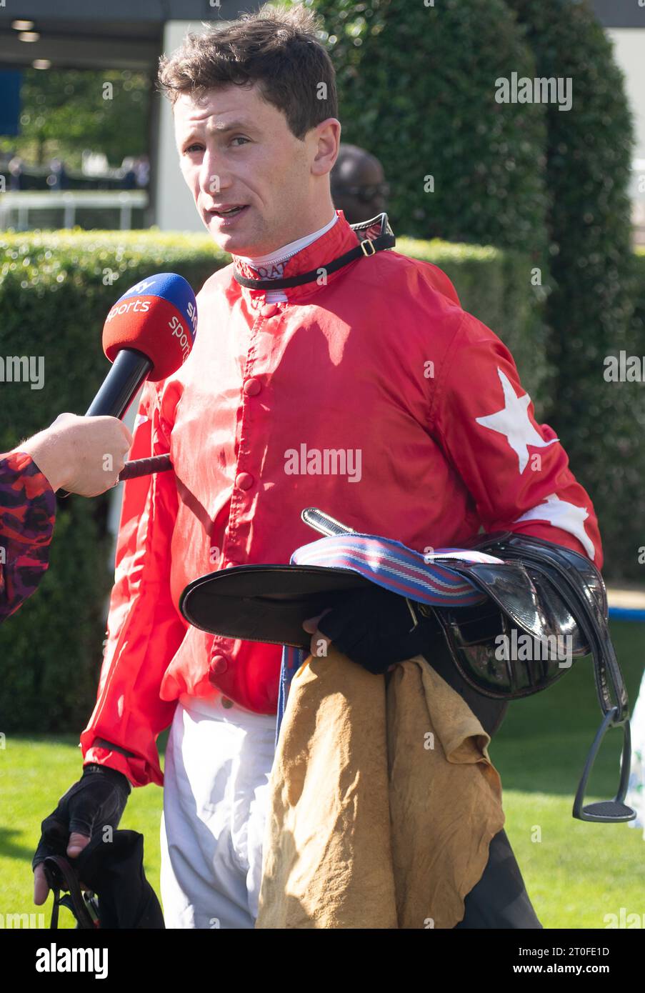 Sir alex ferguson horse hi-res stock photography and images - Alamy