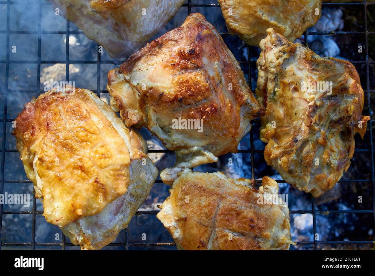bake meat in nature on a metal grid Stock Photo - Alamy