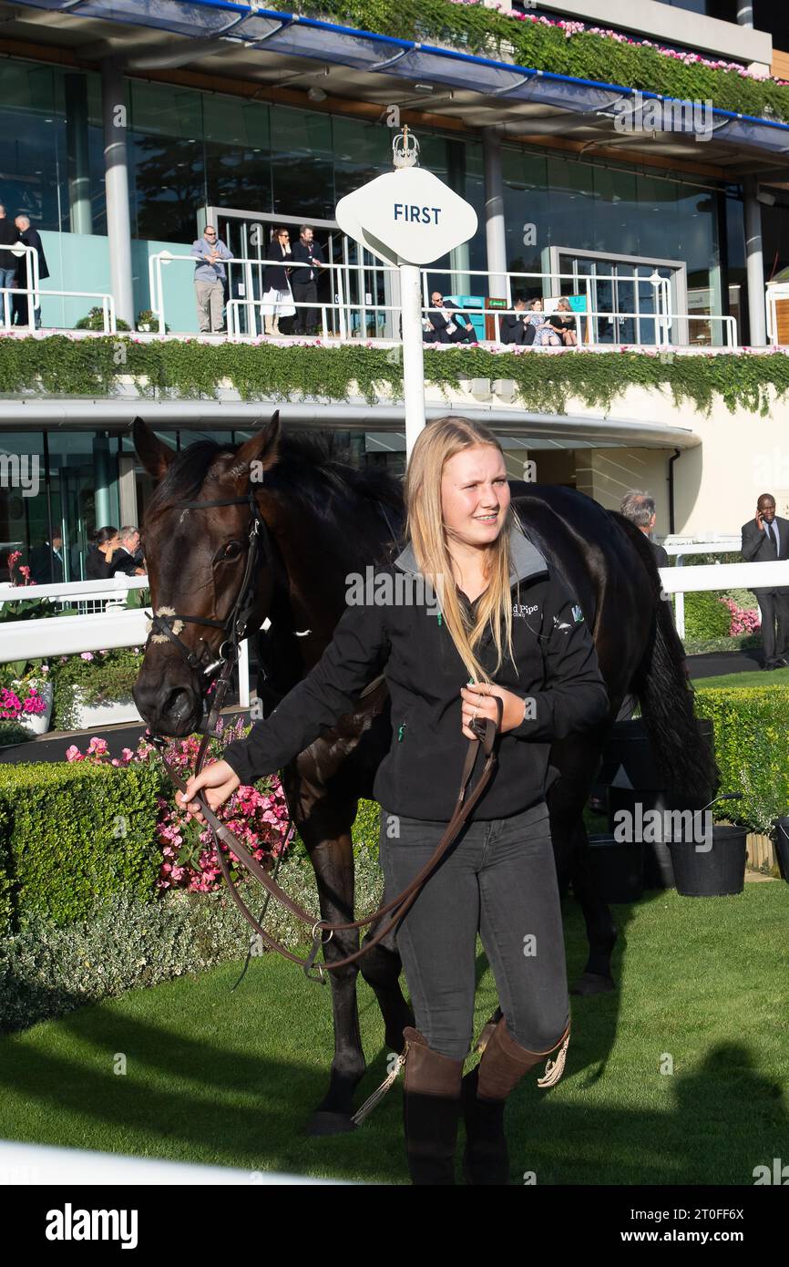 Mrs hornby hi-res stock photography and images - Alamy