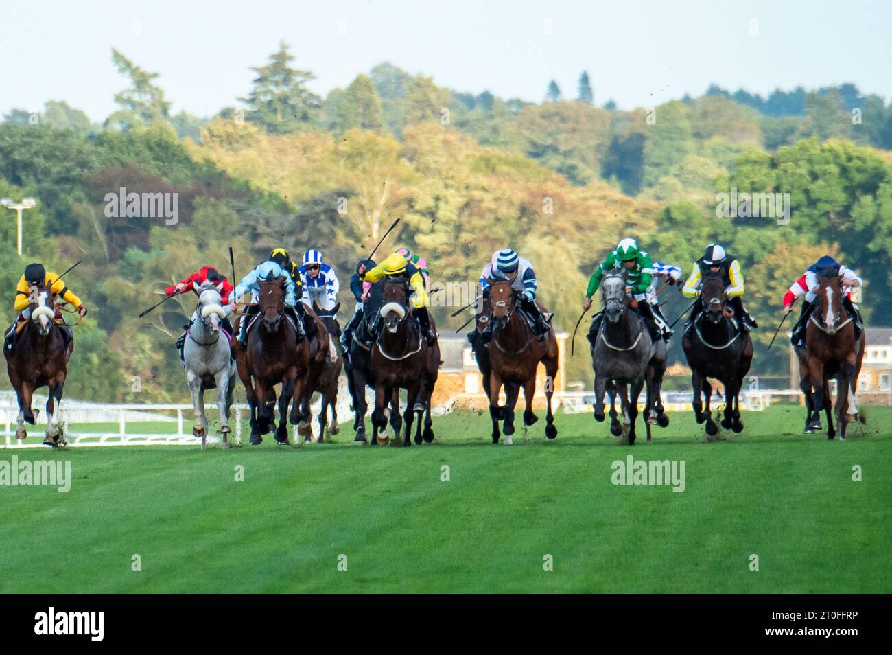 David evans trainer hi-res stock photography and images - Alamy