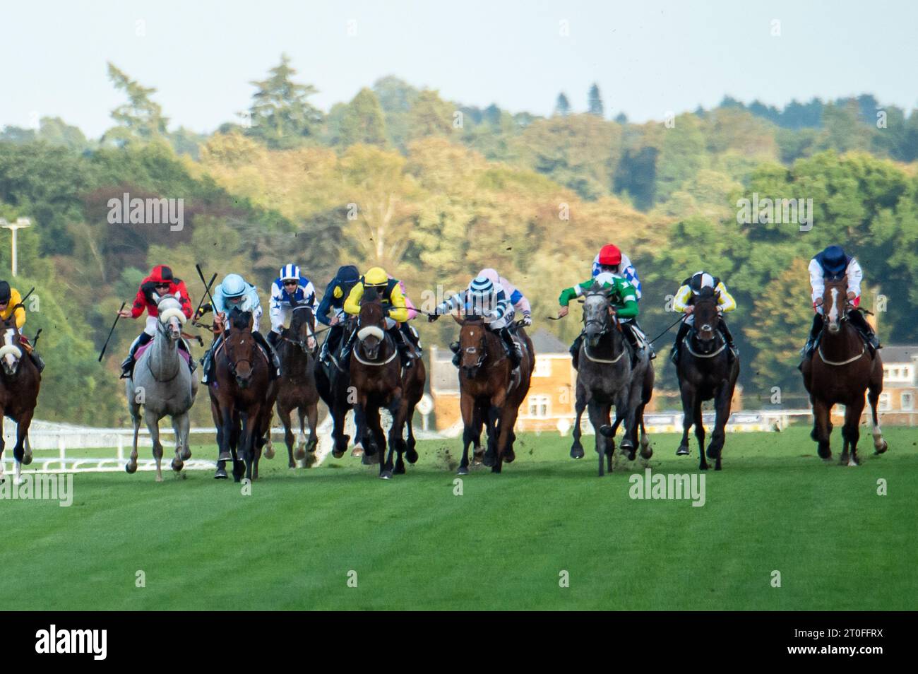 David evans trainer hi-res stock photography and images - Alamy