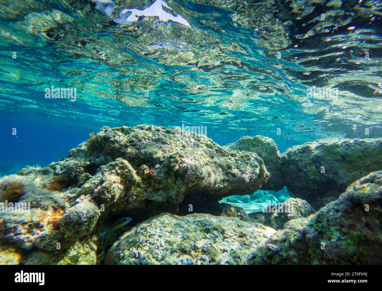 Underwater view in the Mediterranean Sea. Rocks under the clear sea ...