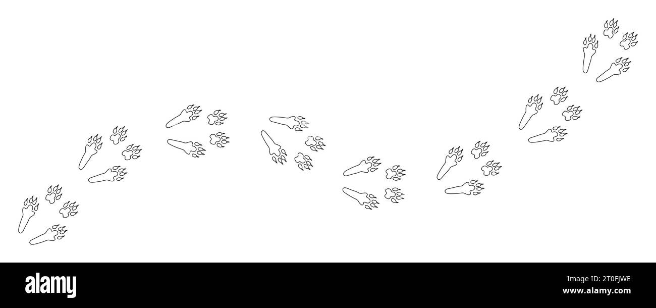 Rabbit or hare tracks in the snow. Path footprints of Rabbit, hare ...