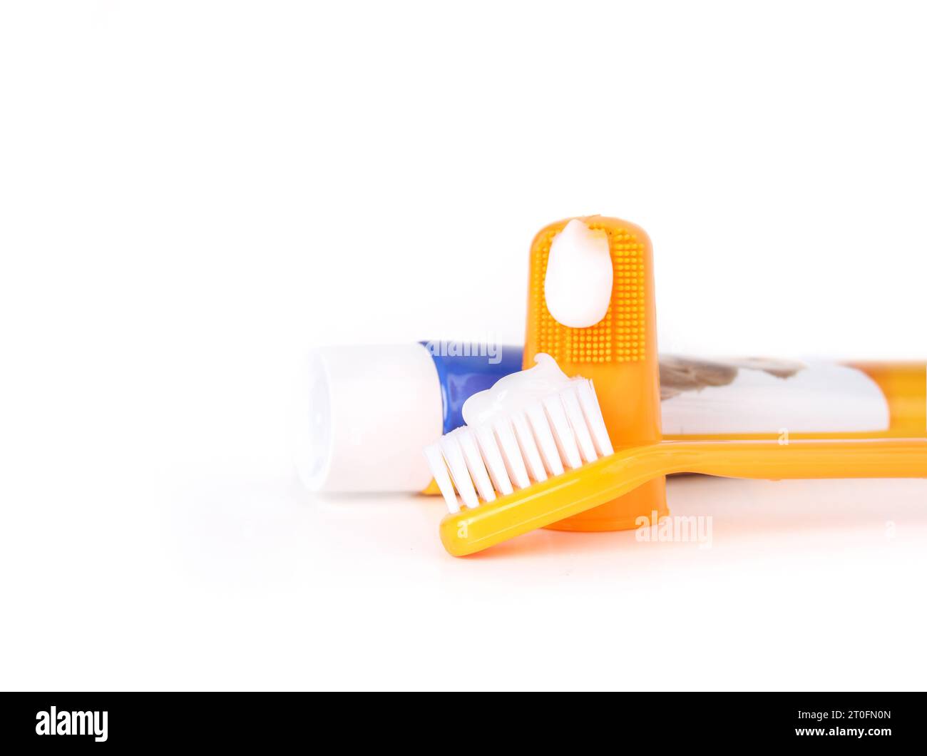 Dog toothbrush with toothpaste. Soft finger brush and toothbrush ...