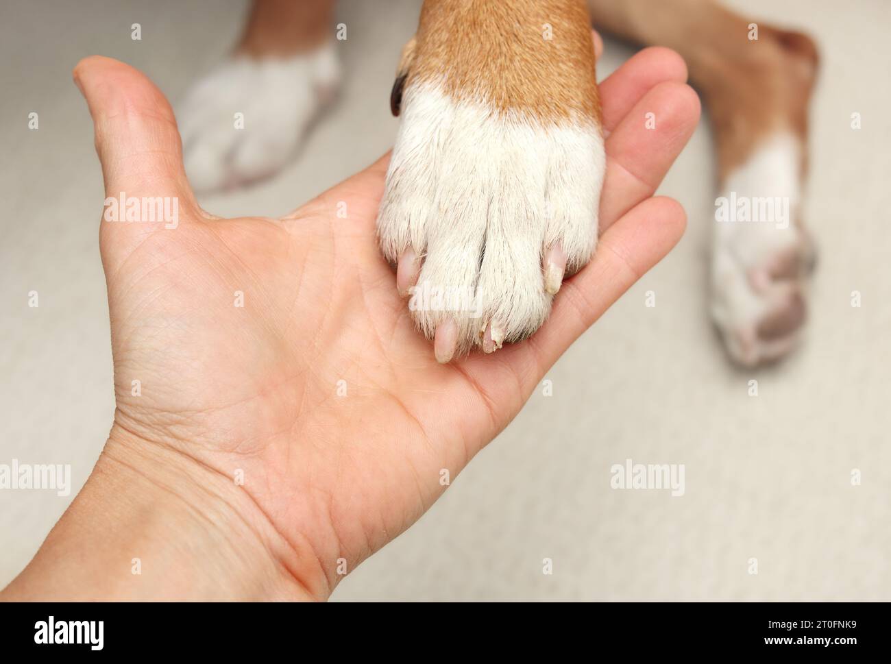 Split nail hi-res stock photography and images - Alamy
