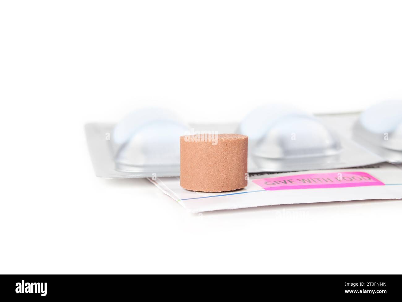 Dog dewormer for heartworms, hookworm, roundworm, tapeworm and whipworm ...