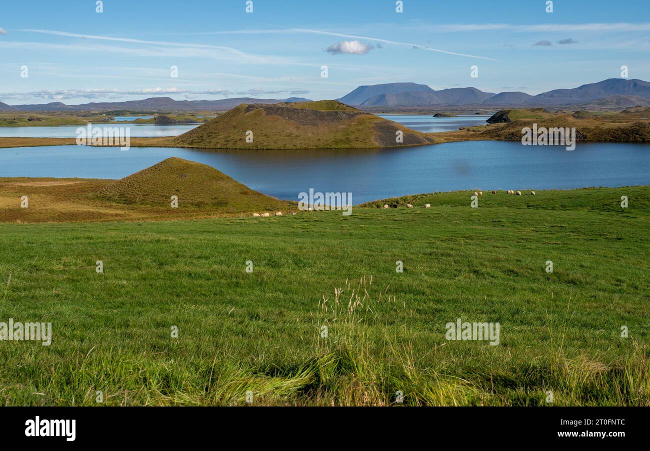 Rootless cone hi-res stock photography and images - Alamy