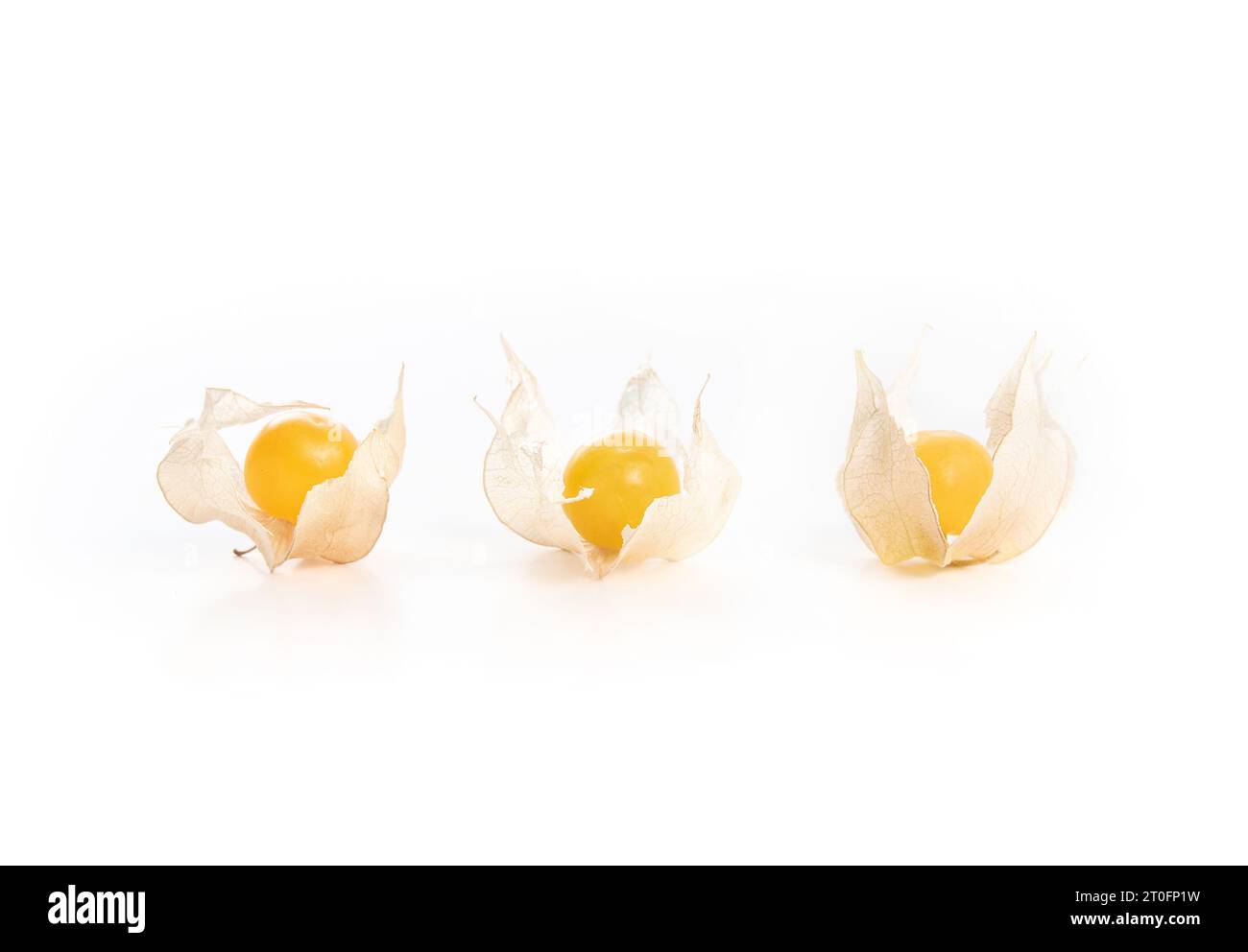 Berry in growth Cut Out Stock Images & Pictures - Alamy