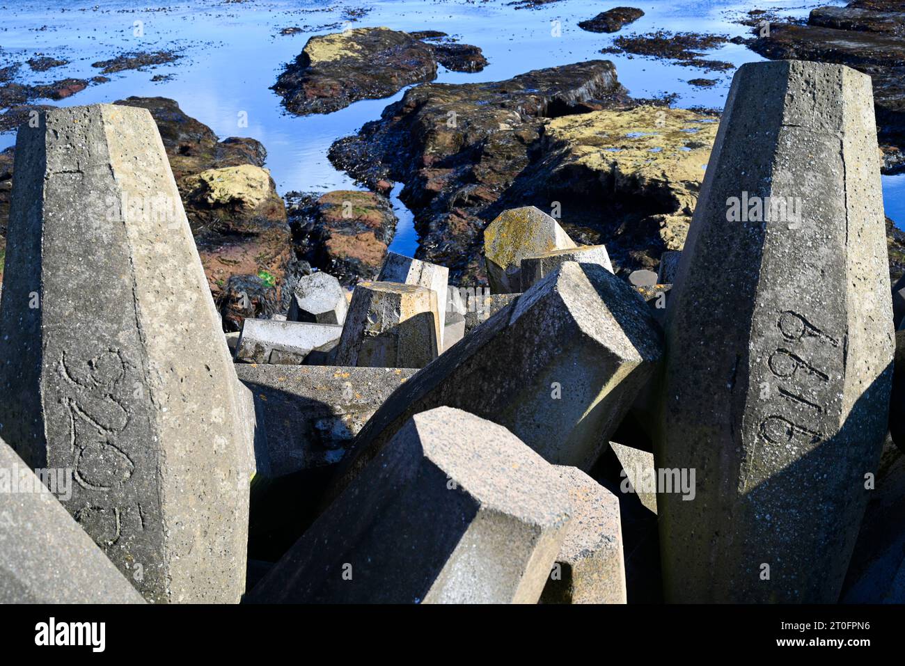 View from Torness nuclear power station Stock Photo - Alamy