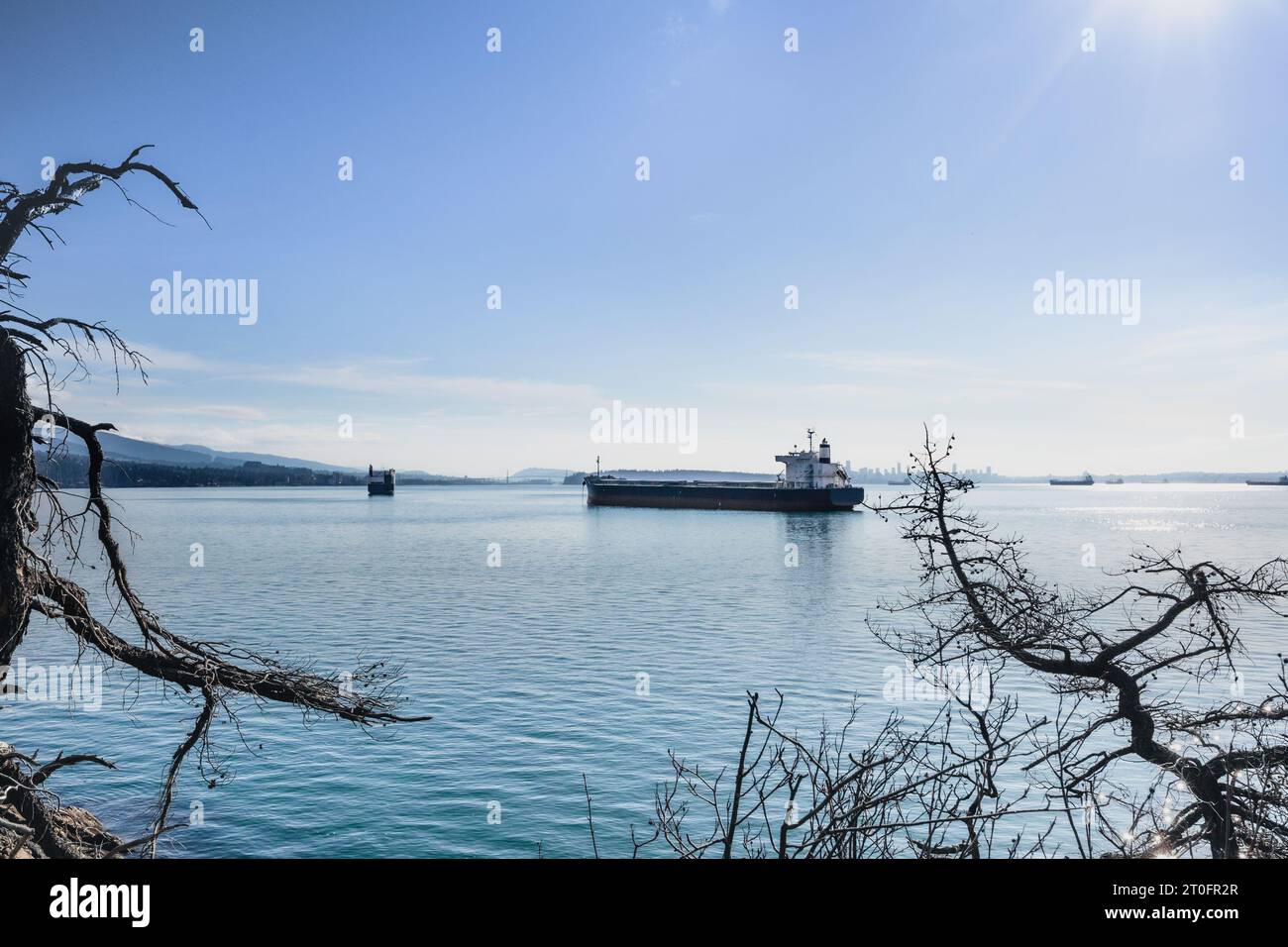 Cargo ships anchored outside of downtown cityscape early mornings ...
