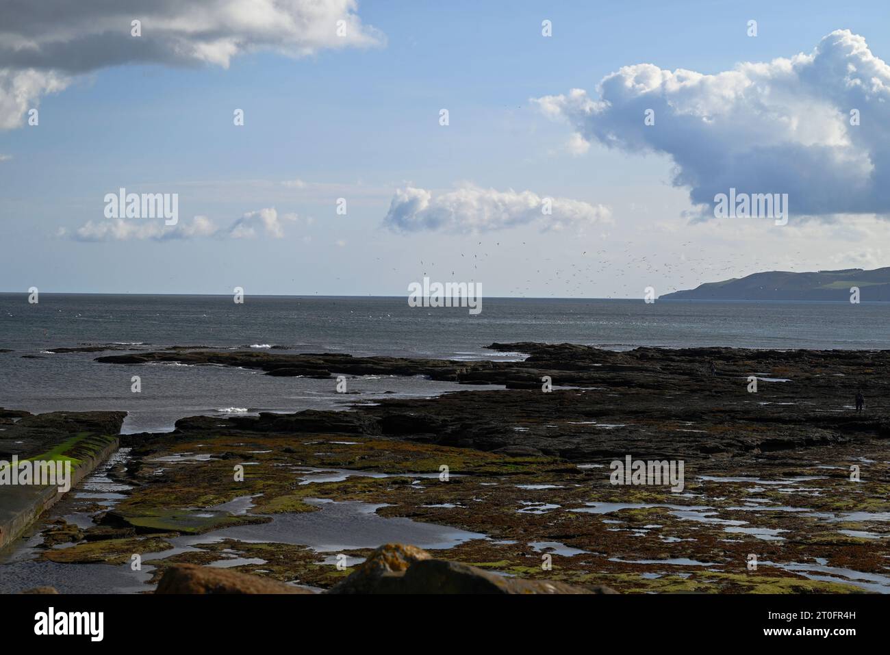 View from Torness nuclear power station Stock Photo - Alamy