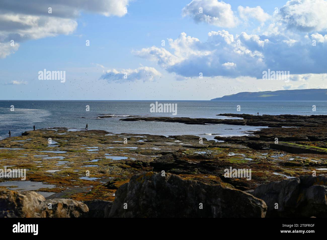View from Torness nuclear power station Stock Photo - Alamy