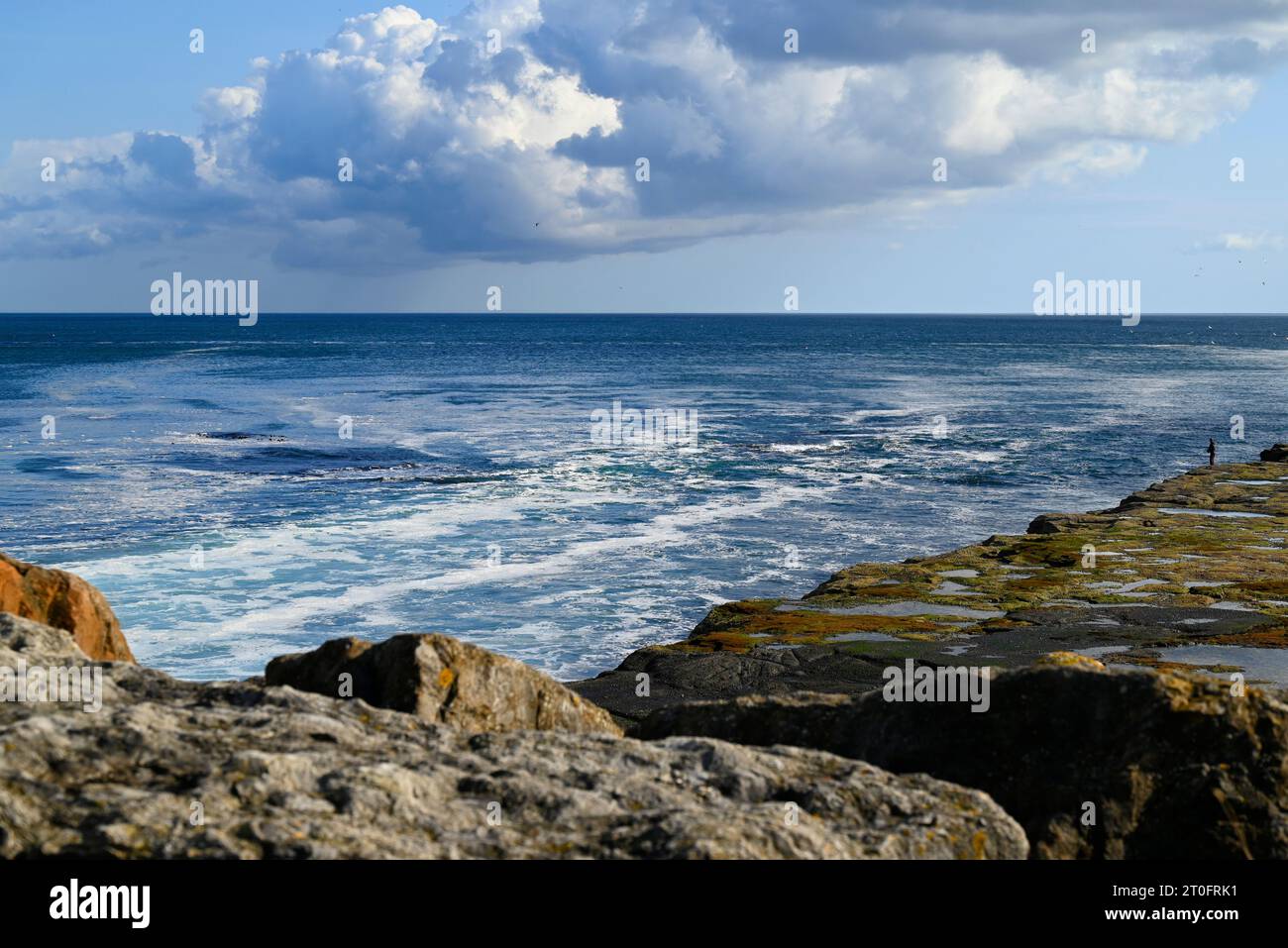 View from Torness nuclear power station Stock Photo - Alamy