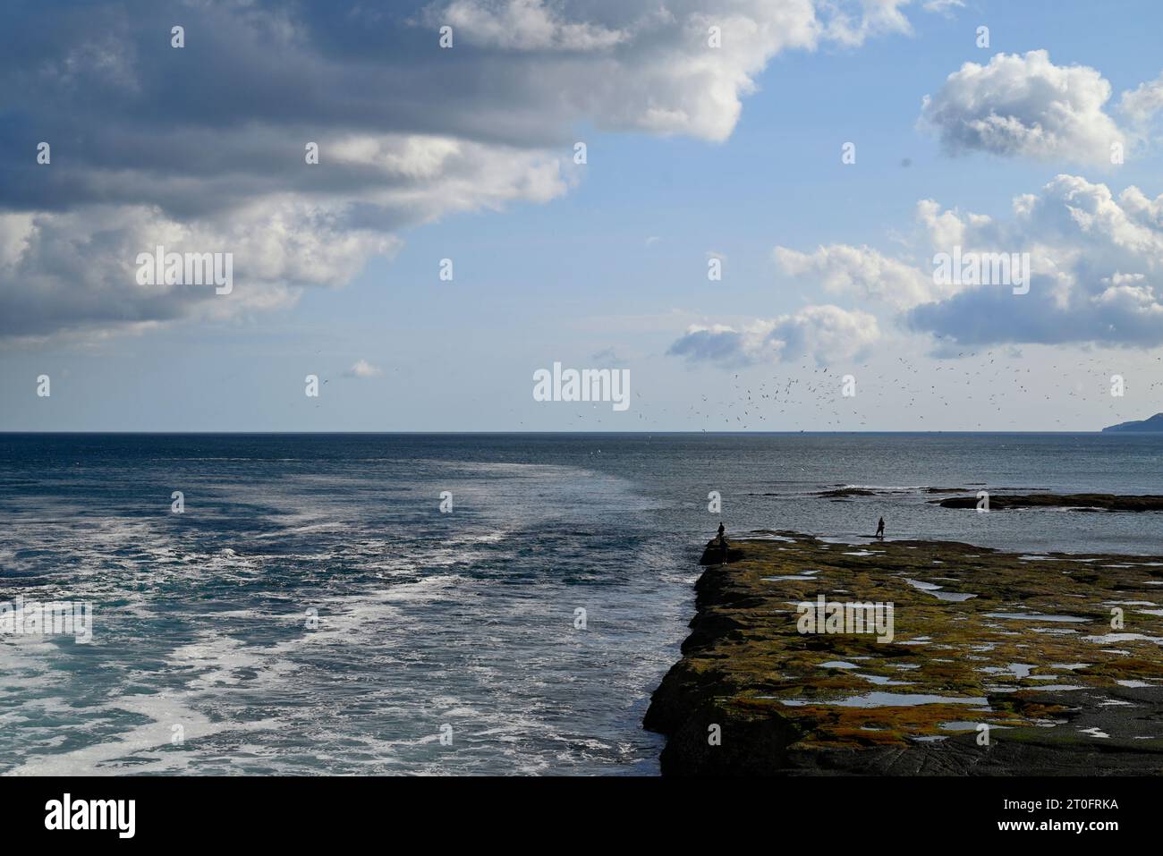 View from Torness nuclear power station Stock Photo - Alamy