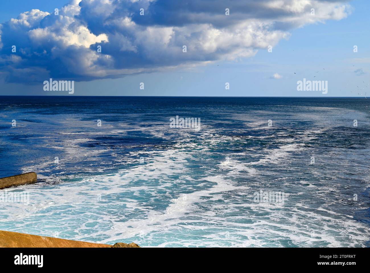 View from Torness nuclear power station Stock Photo - Alamy
